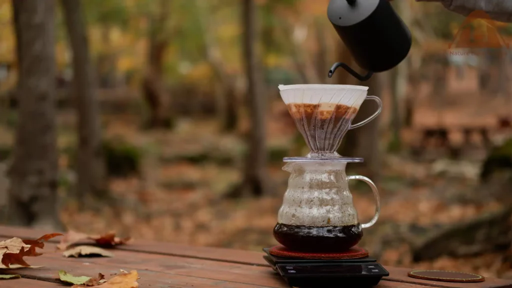 7 Blissful Ways to Brew Amazing Coffee in Malaysia's Great Outdoors ...
